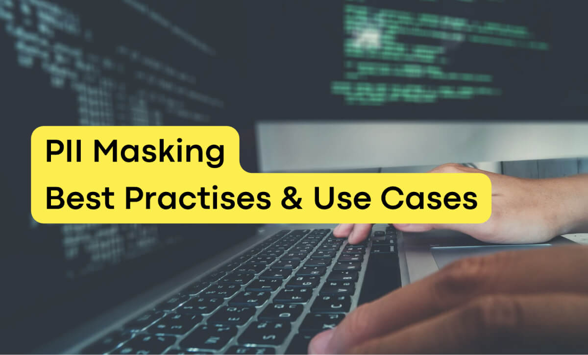 PII Masking | PVML